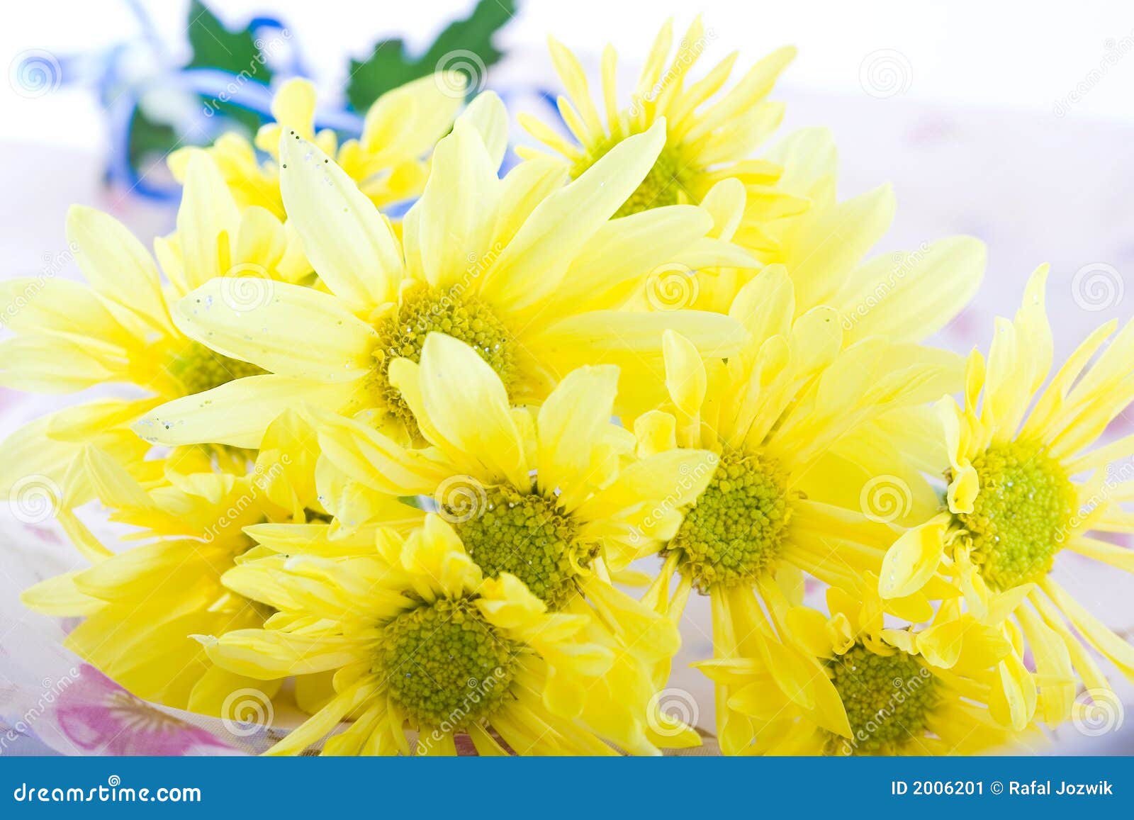 Composition with flowers. stock image. Image of backdrop - 2006201