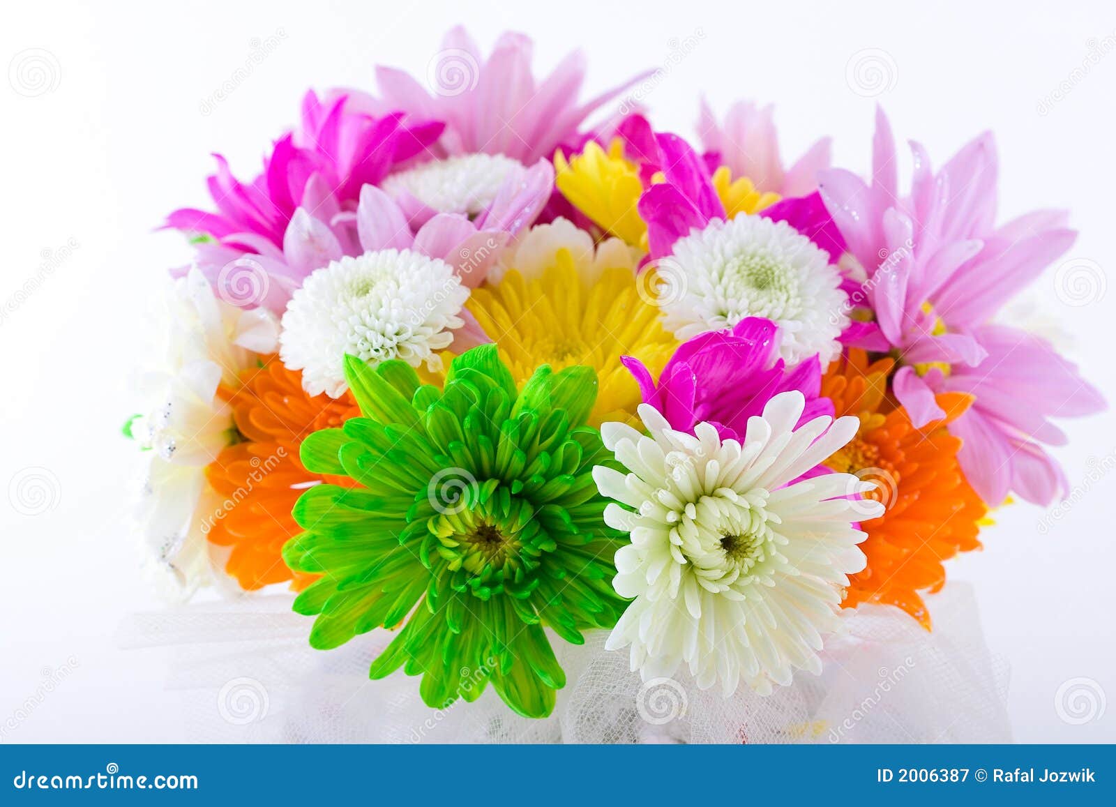 Composition with flowers. stock image. Image of rose, petals - 2006387