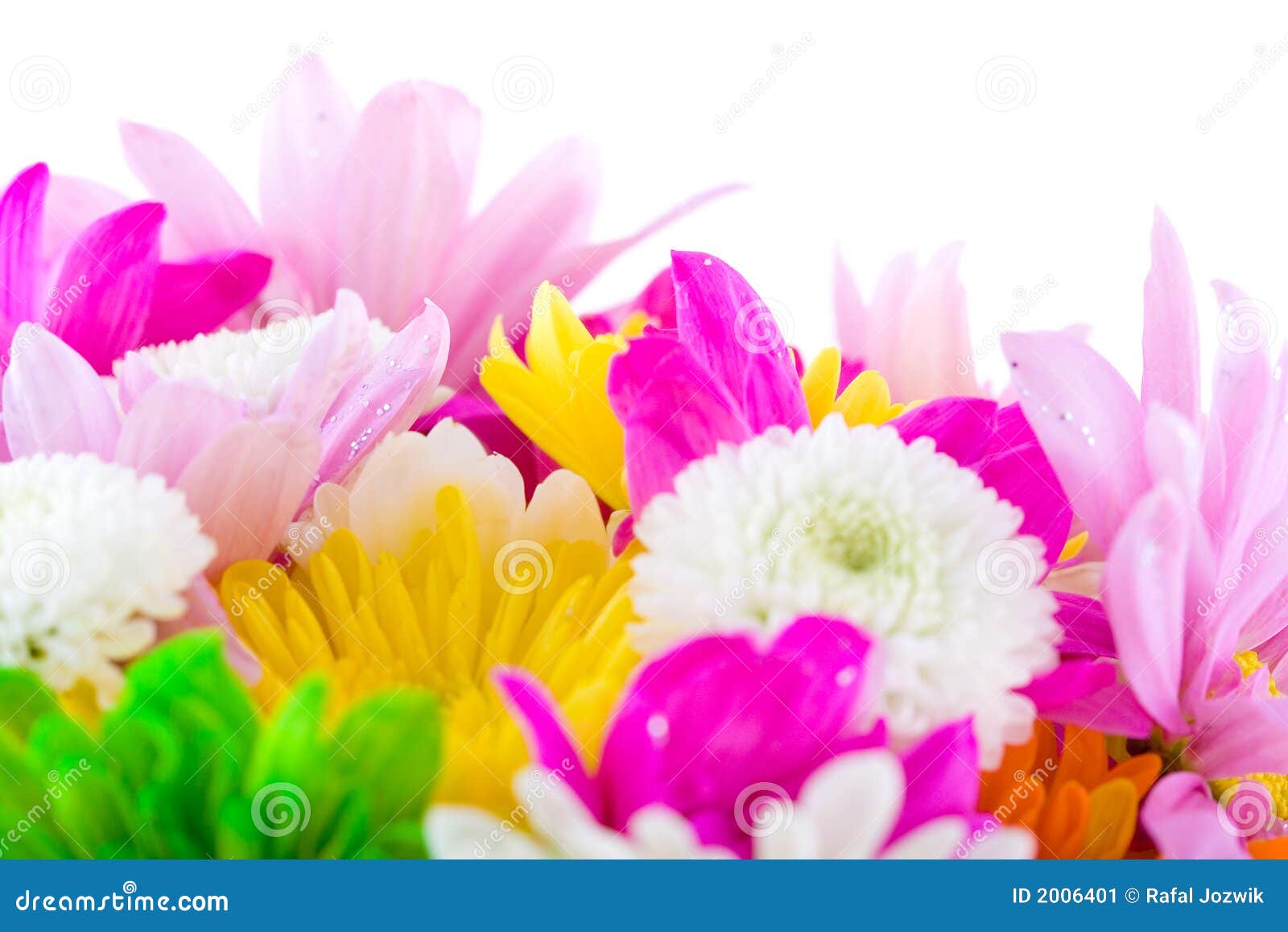 Composition with flowers. stock image. Image of background - 2006401