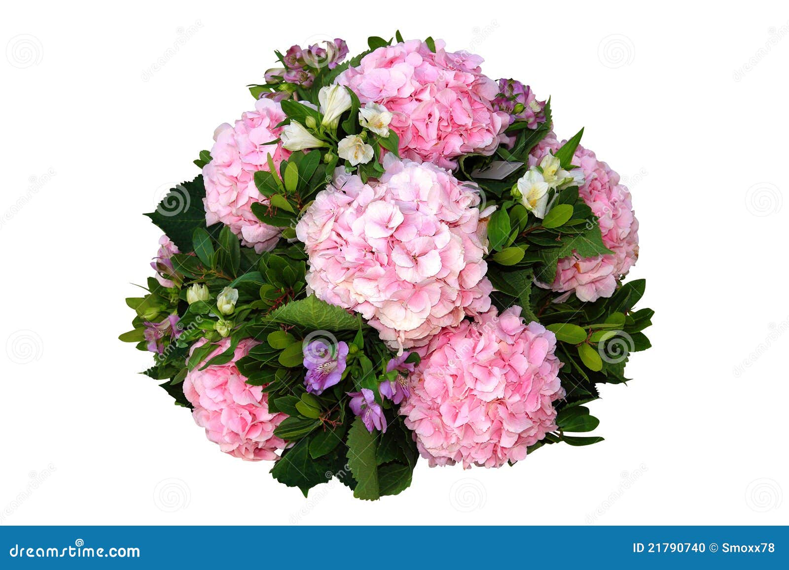 Composition of flowers stock photo. Image of warmth, royalty - 21790740