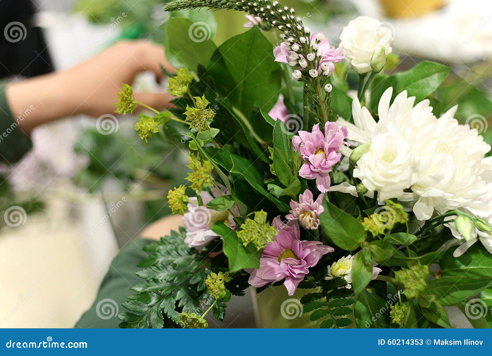 Composition from flowers stock image. Image of salol - 60214353