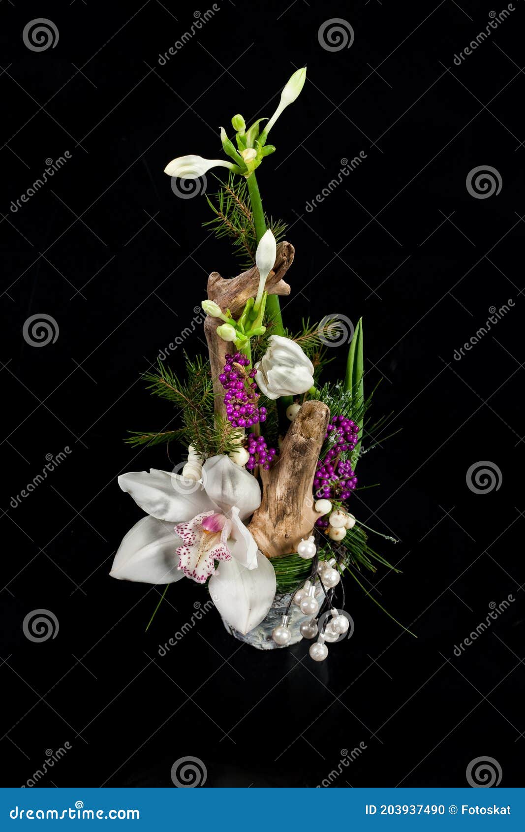 Flower Composition stock photo. Image of beautiful, isolated - 203937490