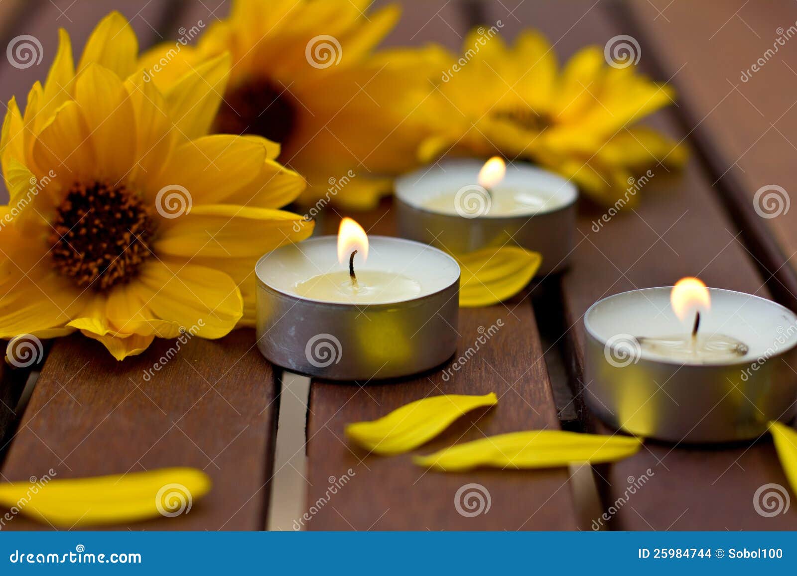 9,985 Little Candles Photos - Free & Royalty-Free Stock Photos from ...
