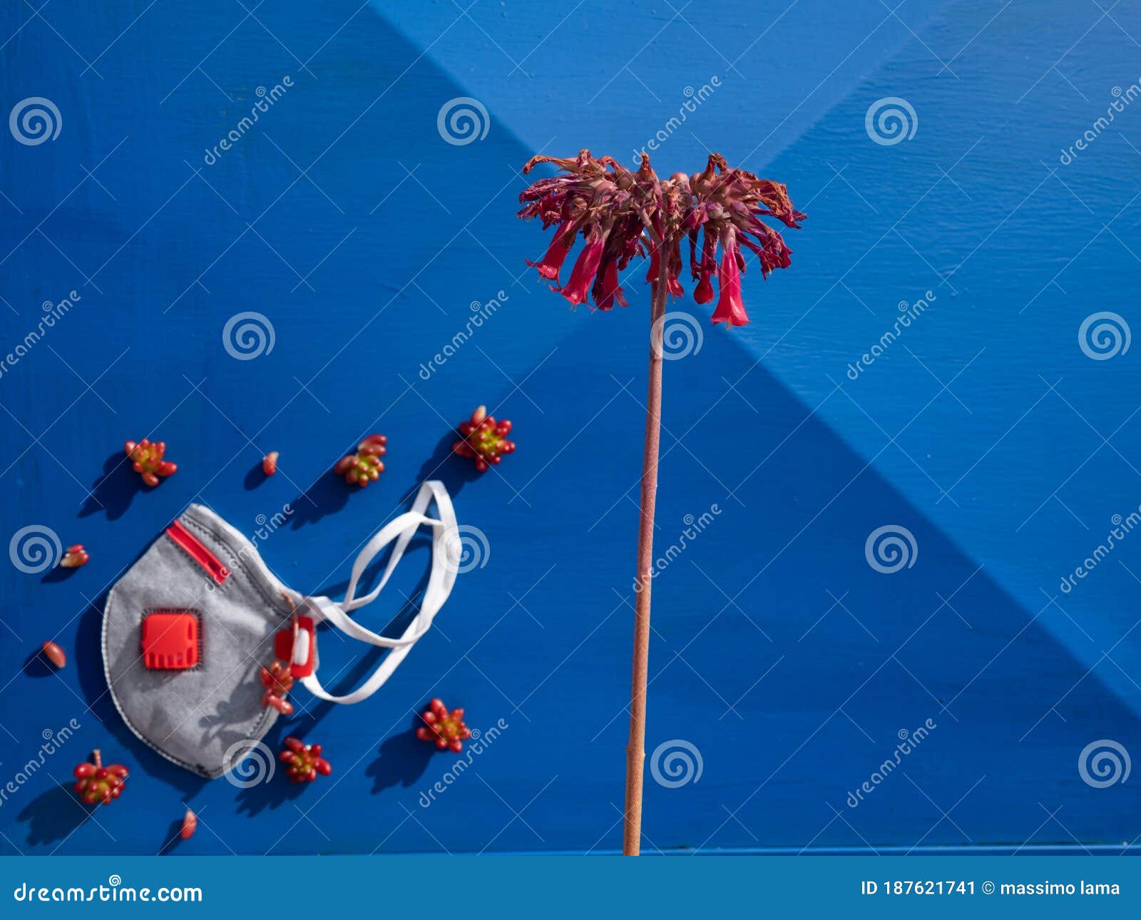 Composition with N95 Face Mask Stock Image - Image of infrared ...