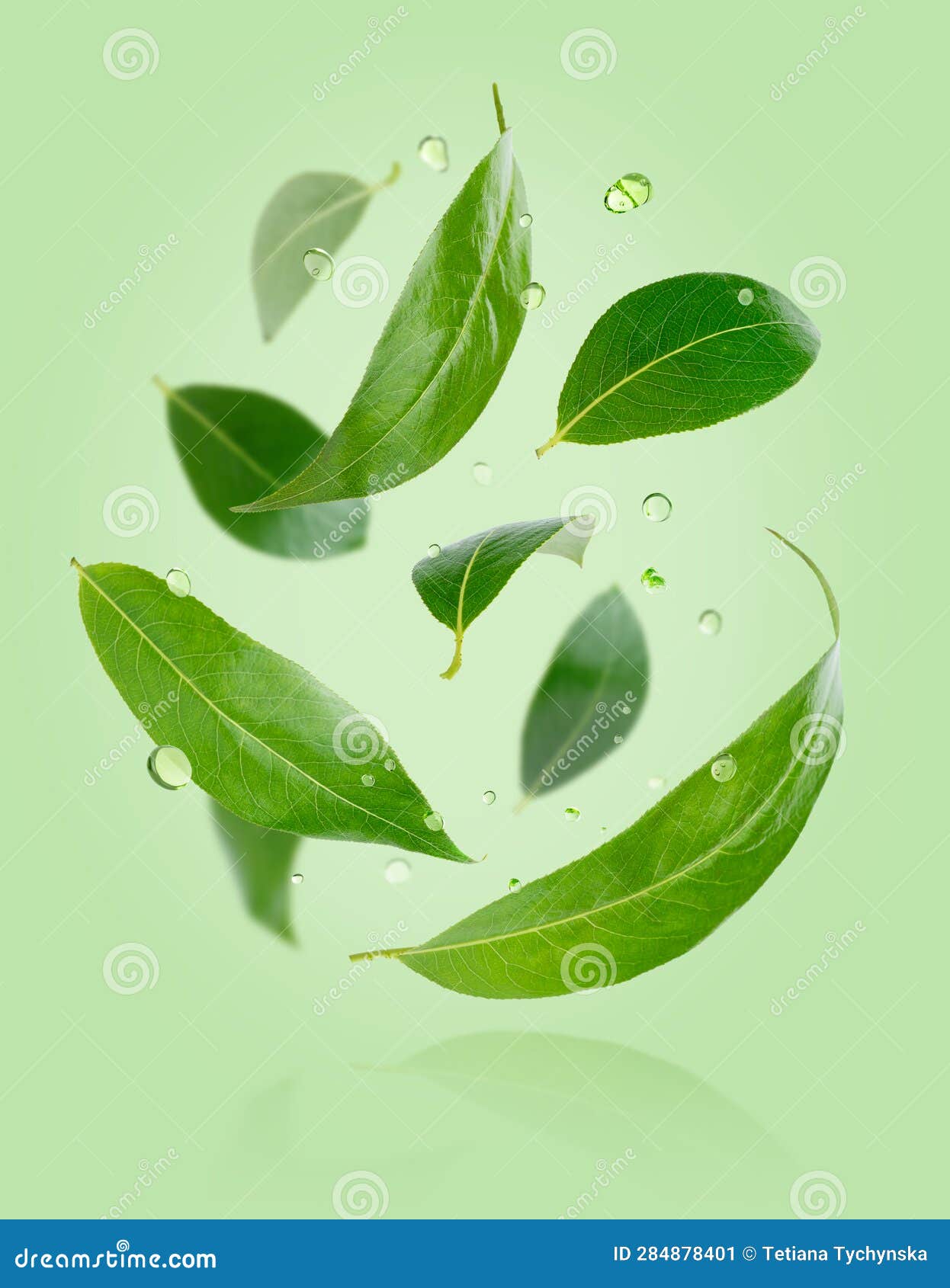 Composition of Flying Green Leaves with Drops on Green Background ...
