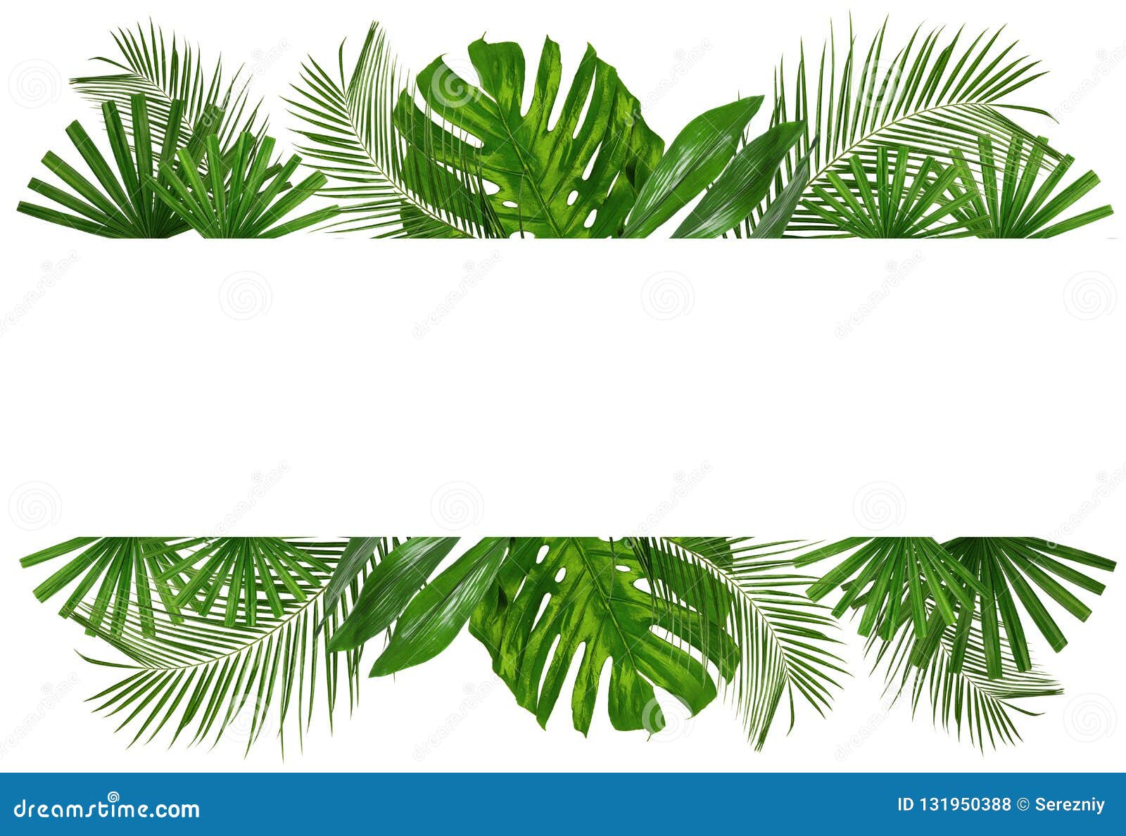 Composition with Green Tropical Leaves on White Background Stock Photo ...