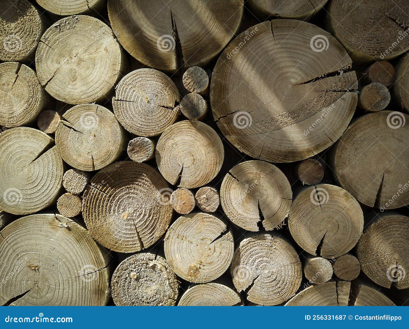 Background with Composition of Logs and Side Shadow Stock Image - Image ...