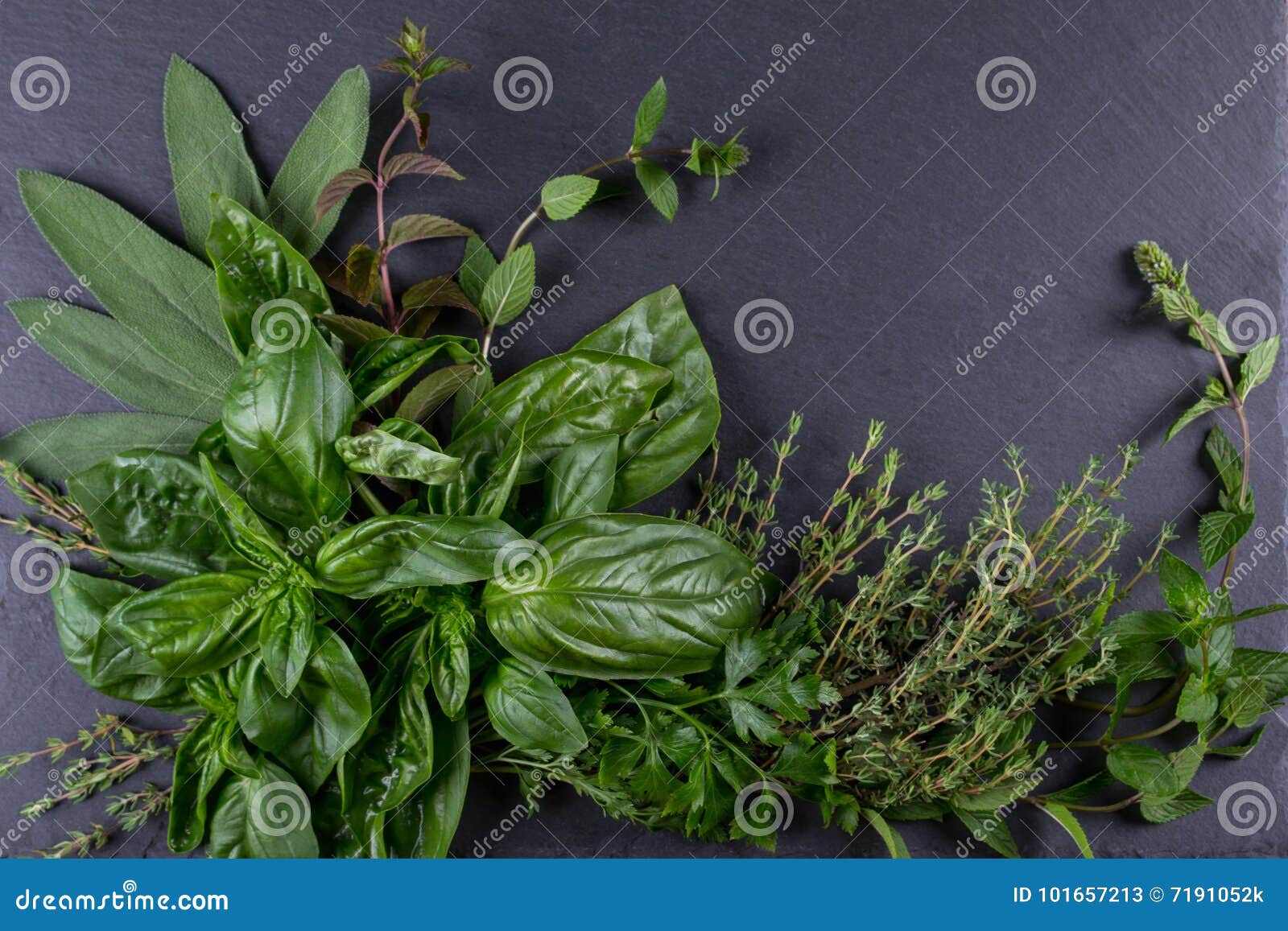Composition of Herbs , Top View As Package Design Element Stock Image ...