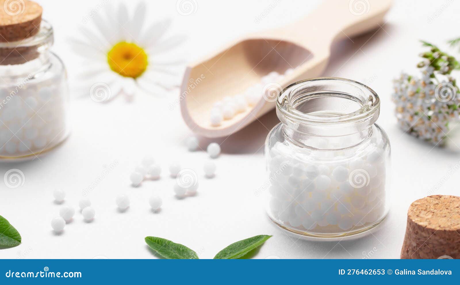 Composition of Homeopathic Medicines and Medicinal Plants on a White ...