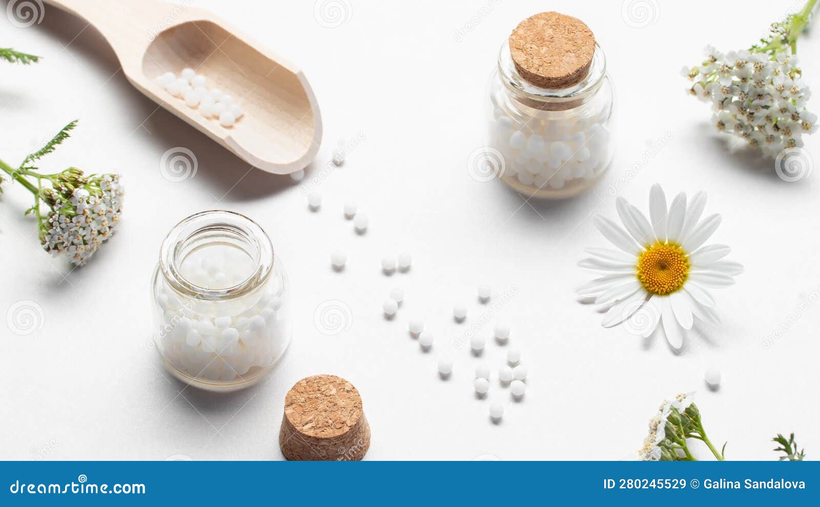 Composition of Homeopathic Medicines and Medicinal Plants on a White ...