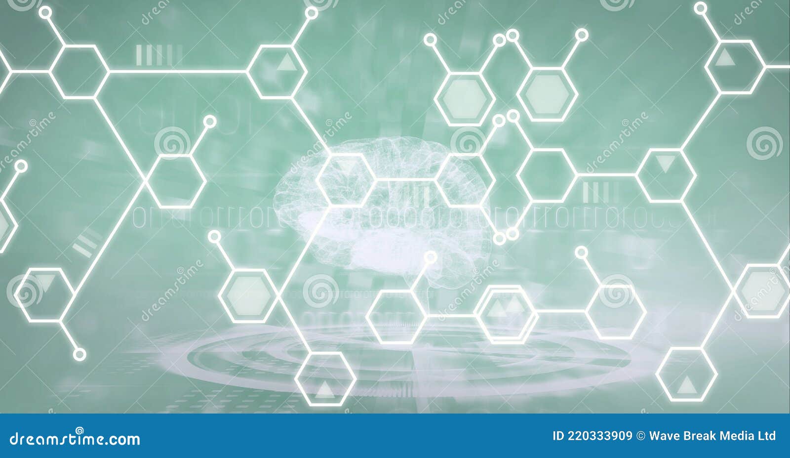 Composition of Human Brain and White Structures of Chemical Compounds ...