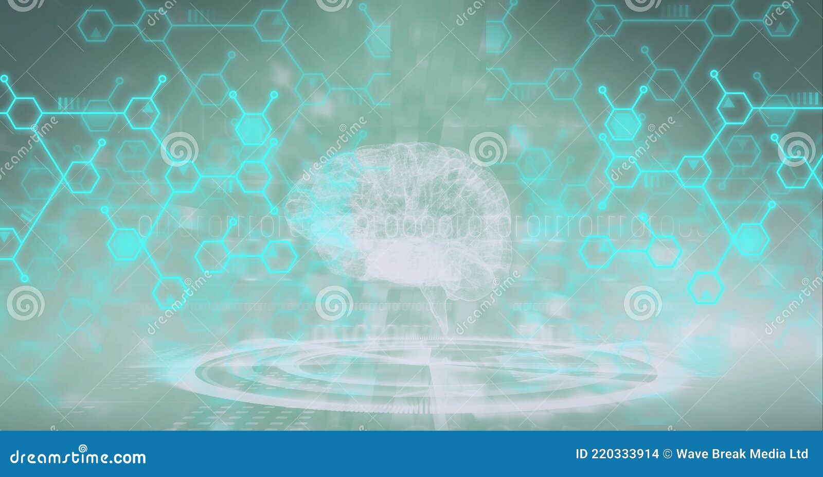 Composition of Human Brain and White Structures of Chemical Compounds ...