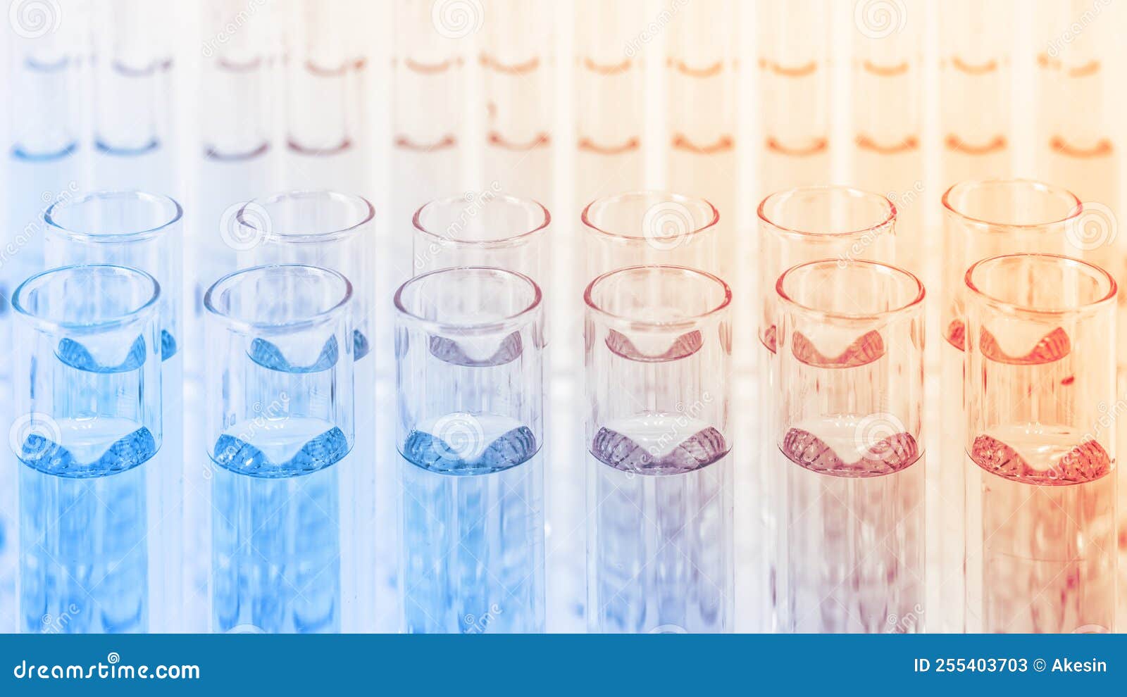 Composition of Laboratory Test Tube Using for Scientific Research and ...