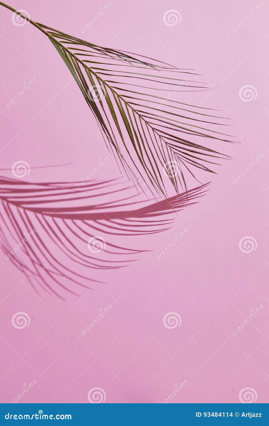 Composition with leaves stock photo. Image of life, lines - 93484114