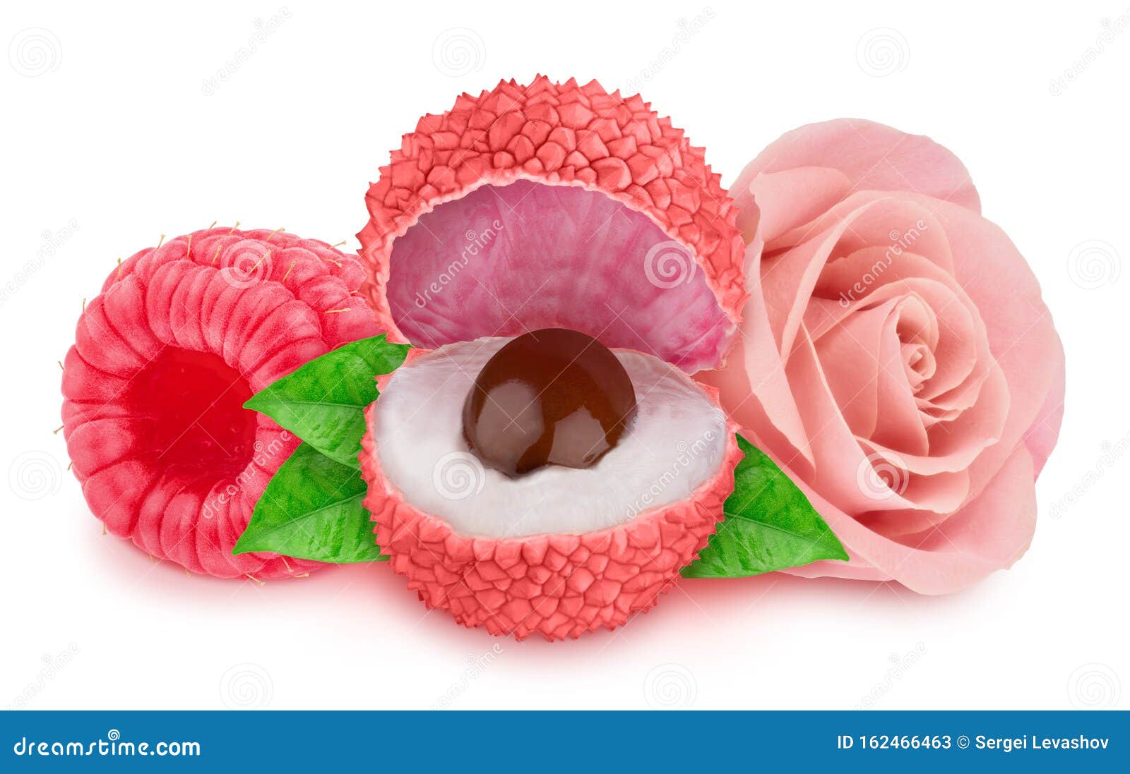 Tender Pink Composition with Lychee and Rose Flower Isolated on a White ...
