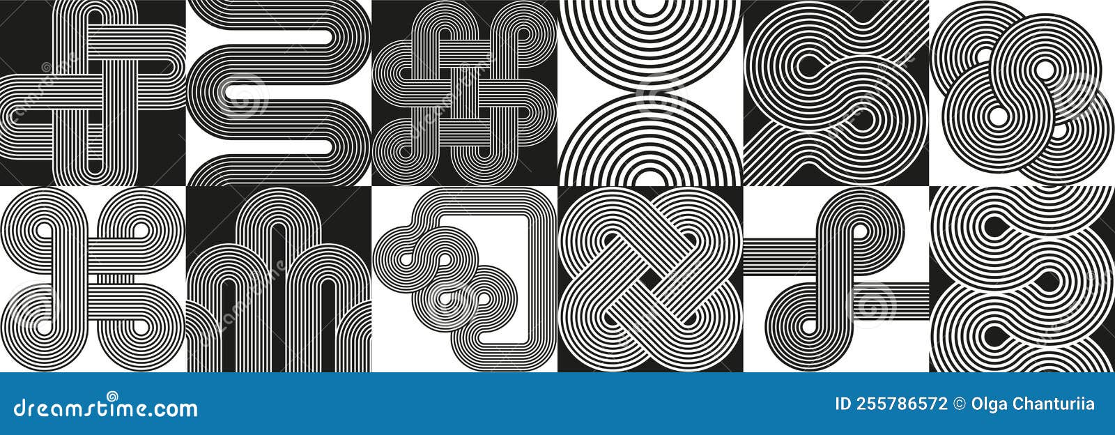 Composition With Line Art Geometric Forms And Black, White Blocks ...