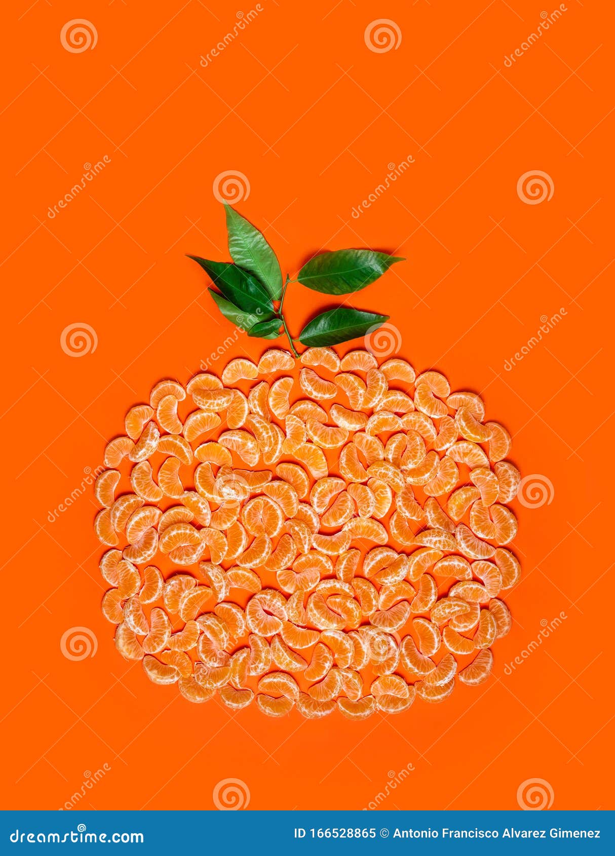 Composition Mandarin Segments Stock Image - Image of segments, fruits ...