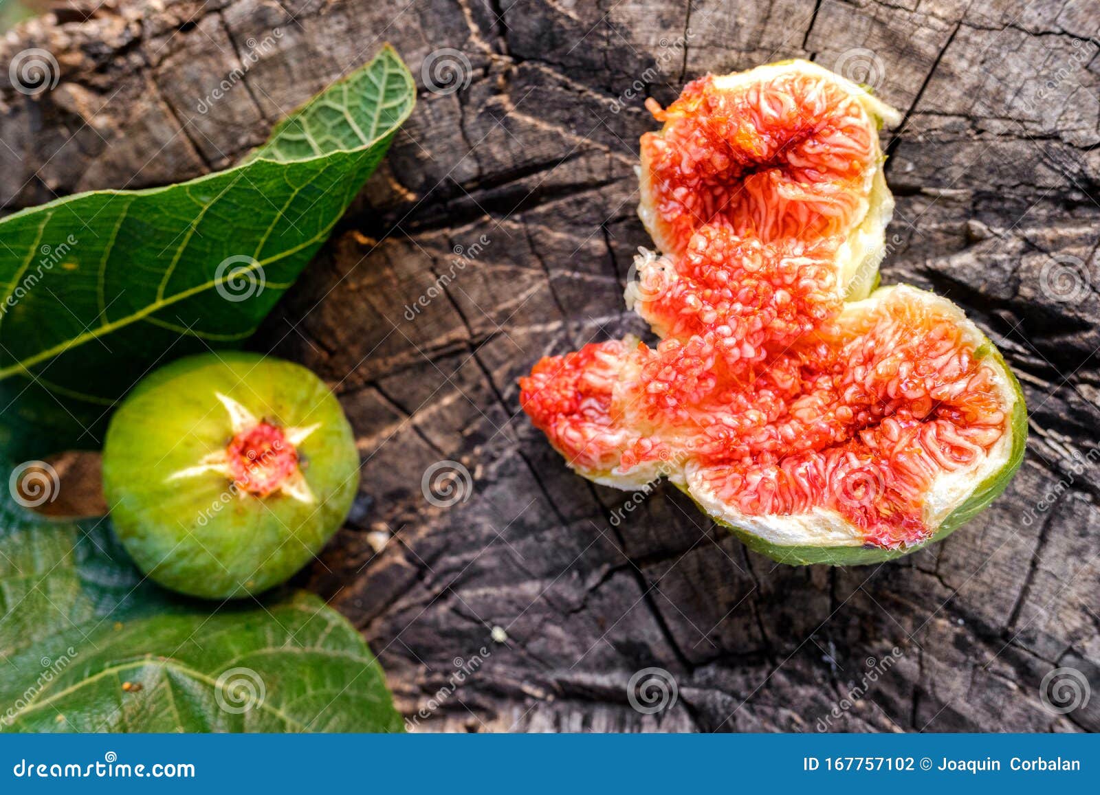 Composition of Mediterranean Summer Fruit, Figs and Fig Leaves Stock ...