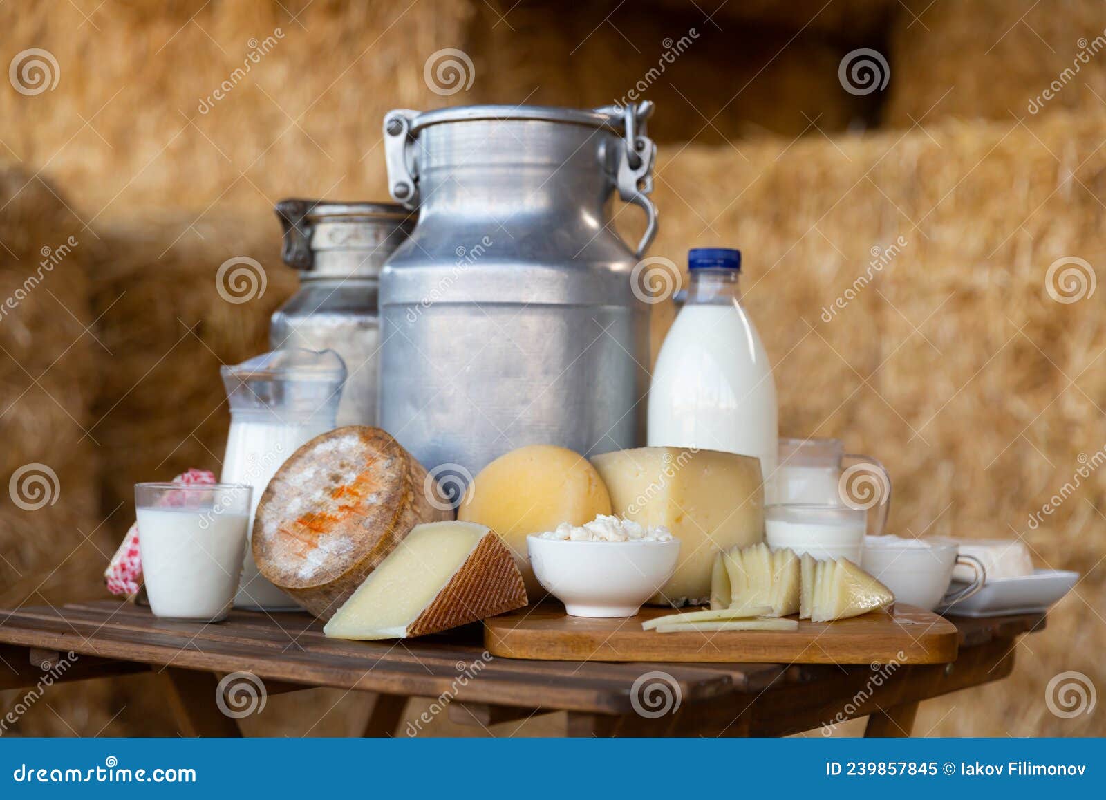 Composition of Milk Churns and Wheels of Cheeses on Table Stock Image ...