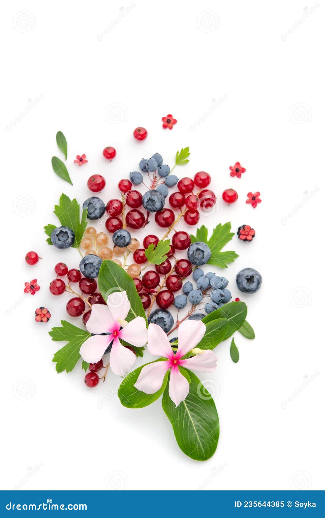 Composition from Multi-colored Berries and Leaves on a White Background ...