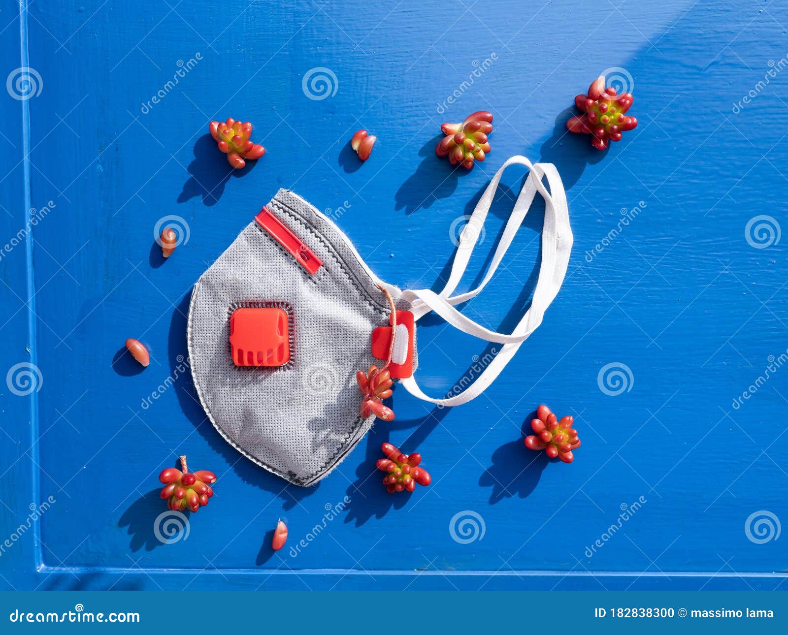Composition with N95 Face Mask Stock Photo - Image of hoarding, animal ...