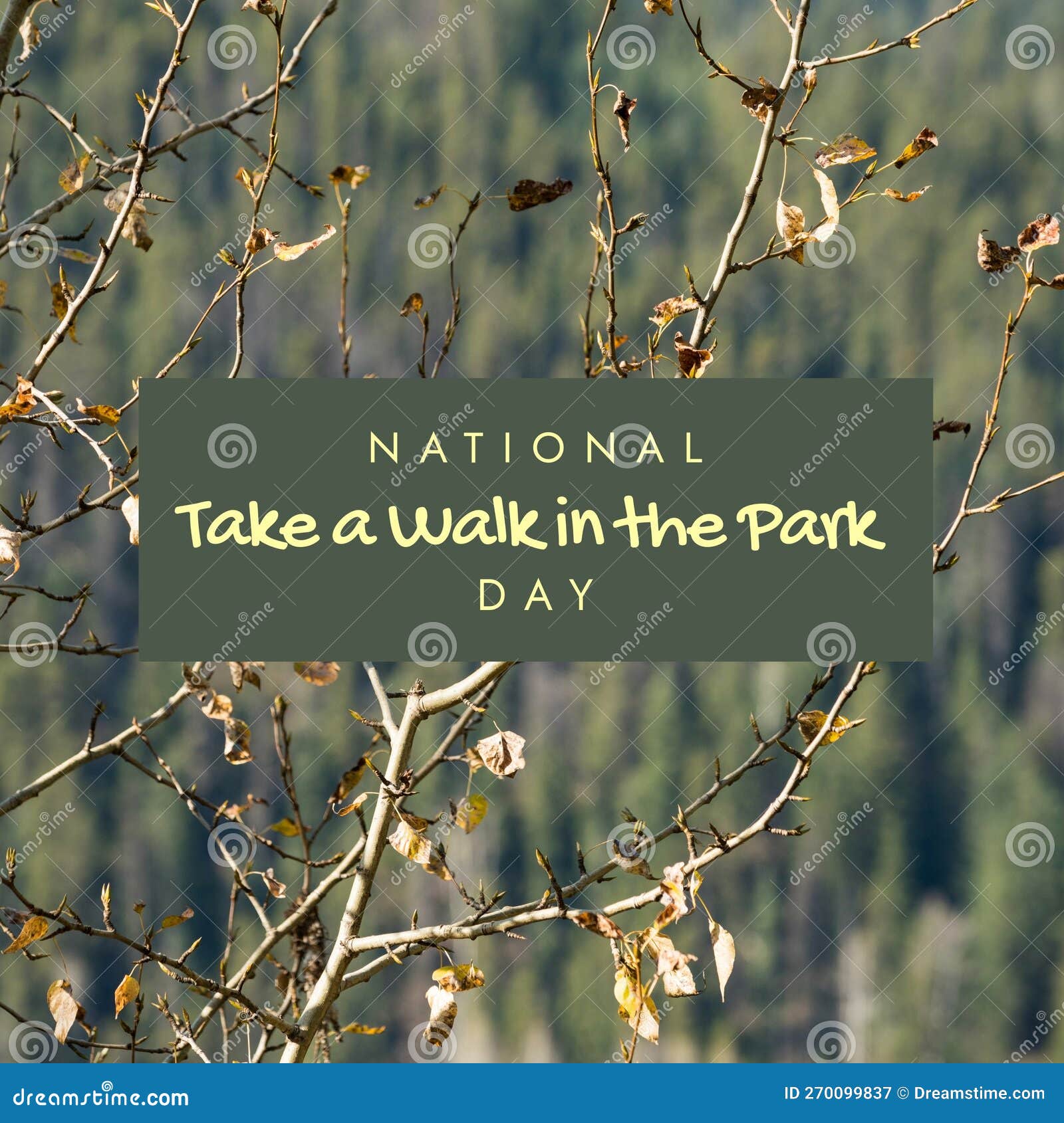 Composition of National Take a Walk in the Park Day Text Over Branch ...