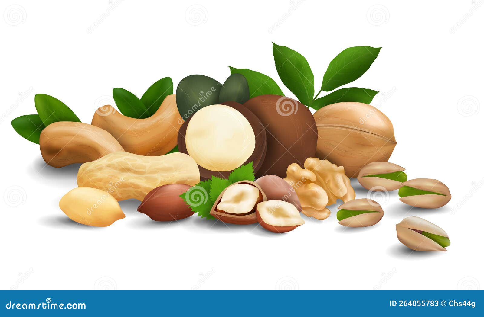 Nuts Realistic Set Cartoon Vector | CartoonDealer.com #97287581
