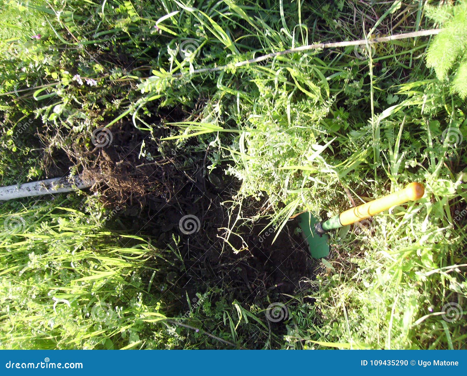 Dig a hole in the ground stock photo. Image of farming - 109435290