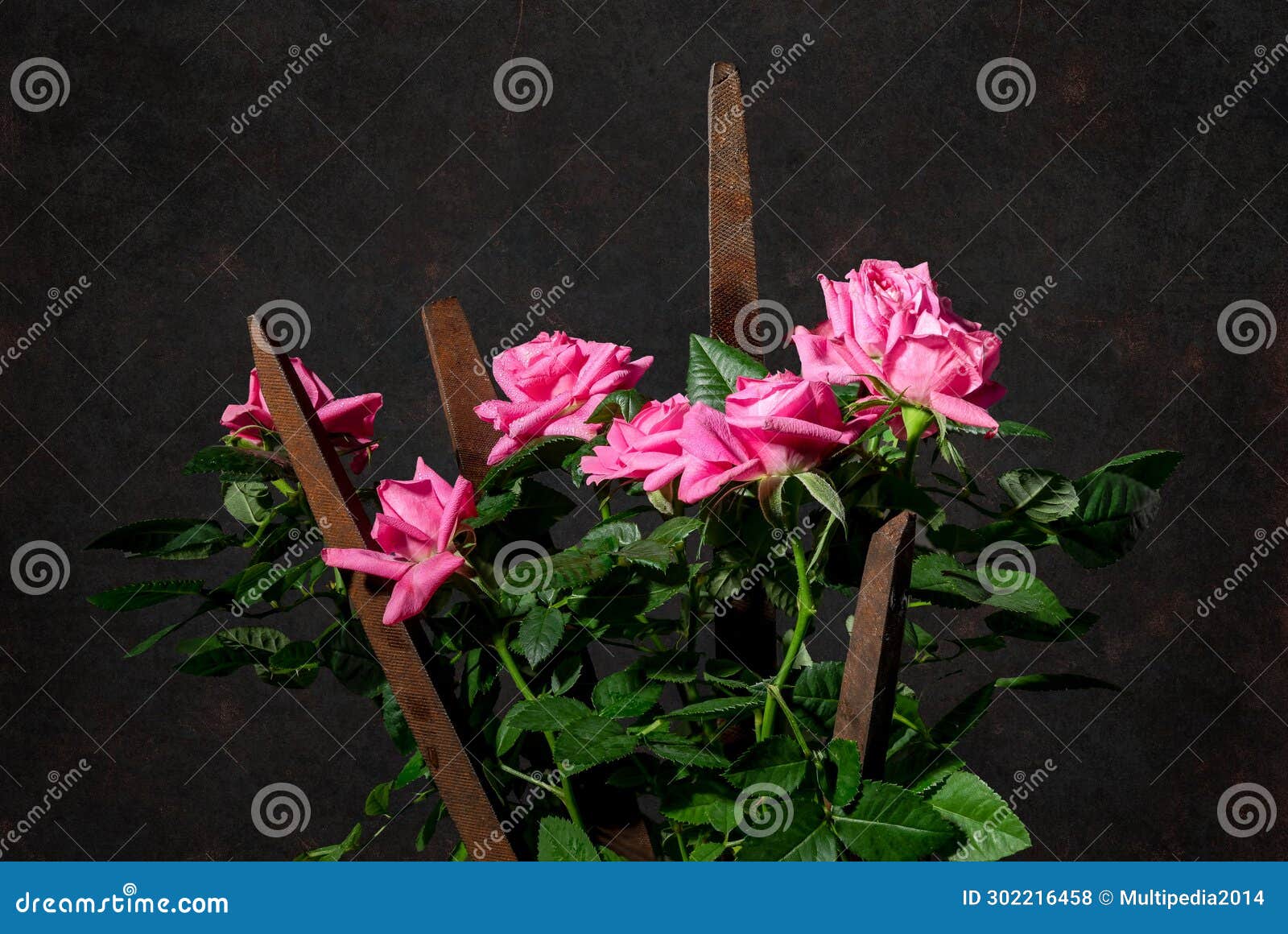 Composition with Old Rusty Work File and Pink Roses Stock Photo - Image ...