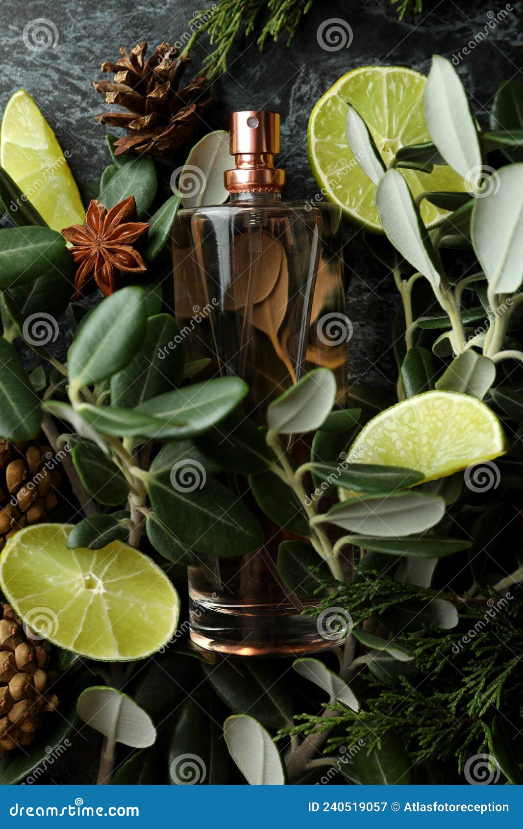 Composition with Perfume and Ingredients, Close Up Stock Image - Image ...