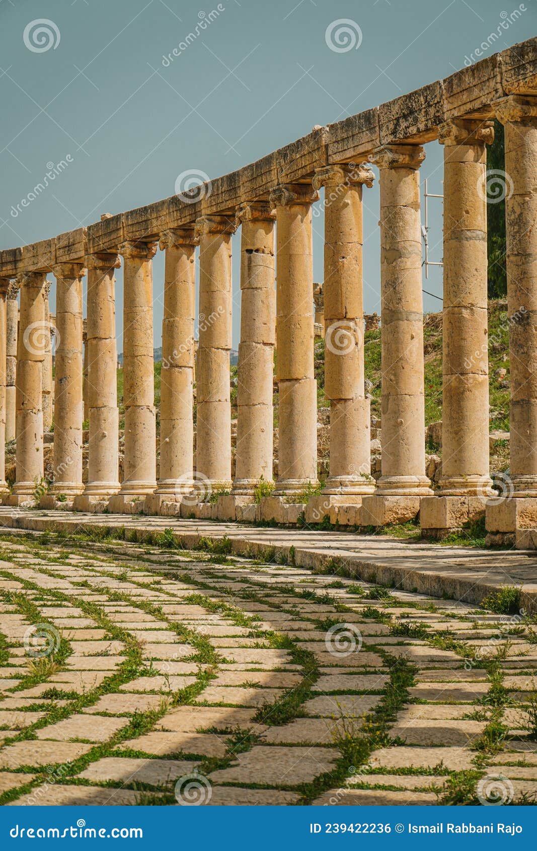 The Composition of Pillars in the City of Jerash Jordan Stock Photo ...