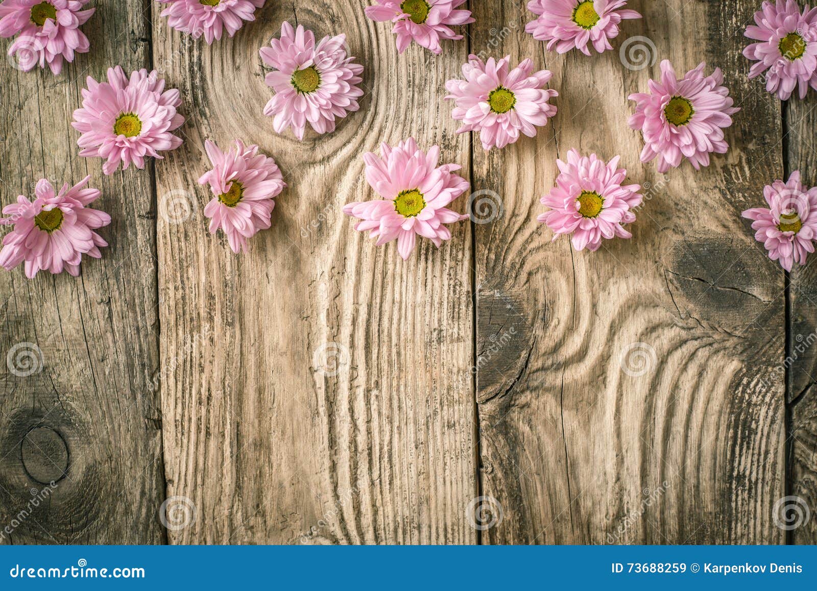 Composition of Pink Flowers on the Wooden Table Top View Stock Image ...
