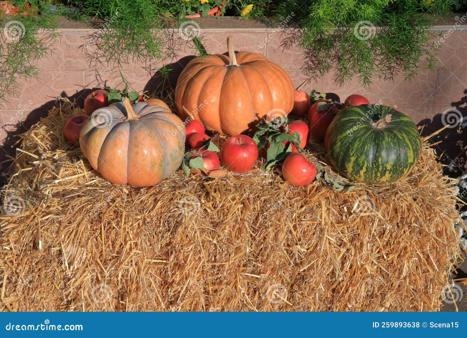 Composition with Pumpkins and Apples Lying on Hay Stock Photo - Image ...