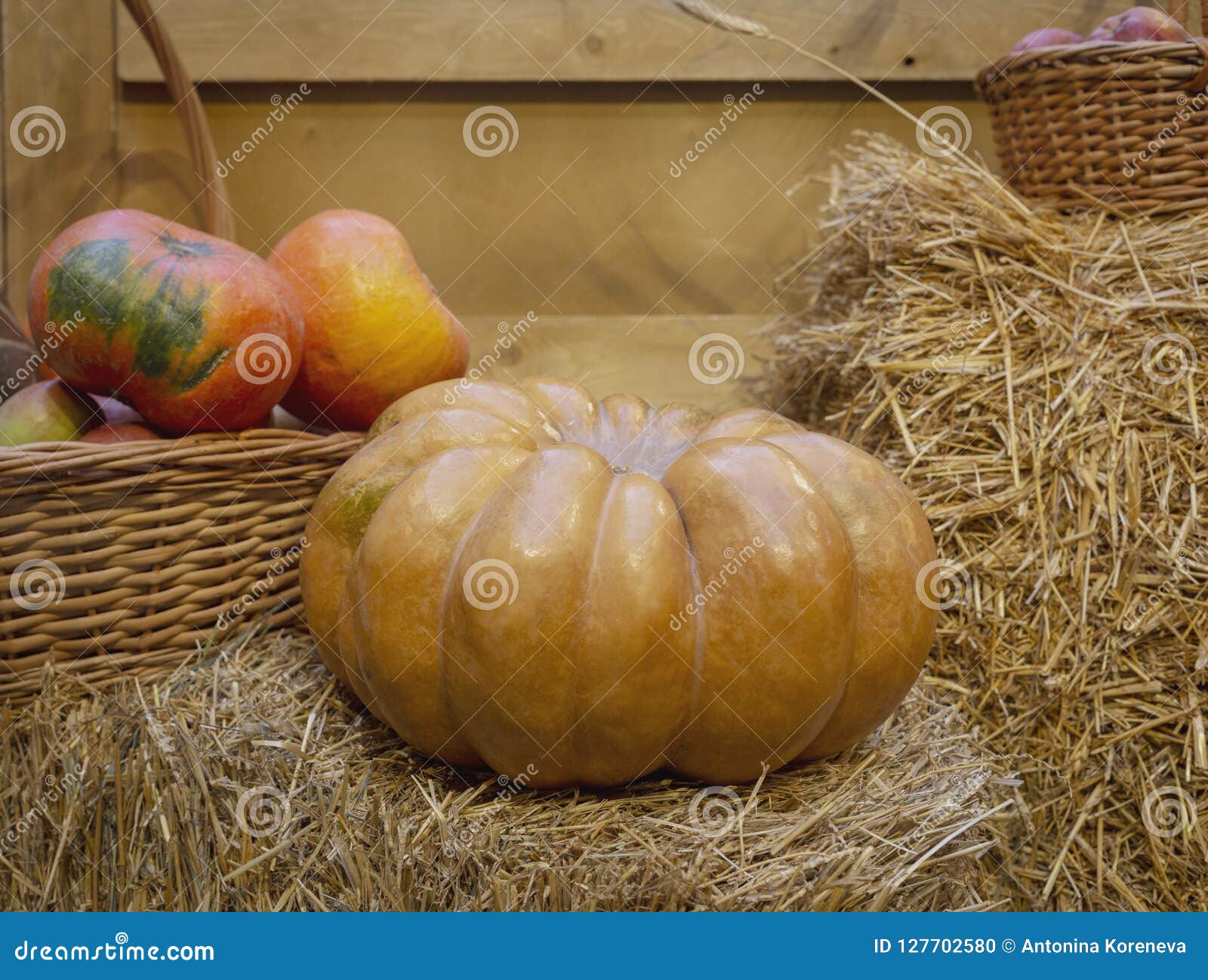 Composition of Pumpkins with Hay at Wood Background Stock Photo - Image ...