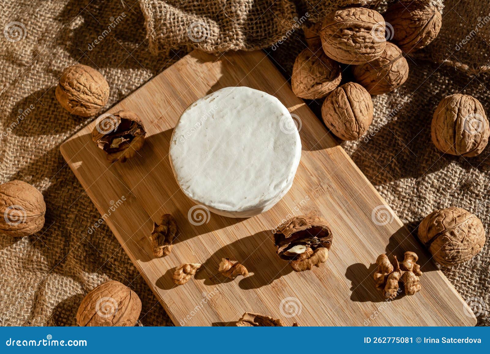 Composition of a Round Cheese Head with White Mold and Walnuts on a ...