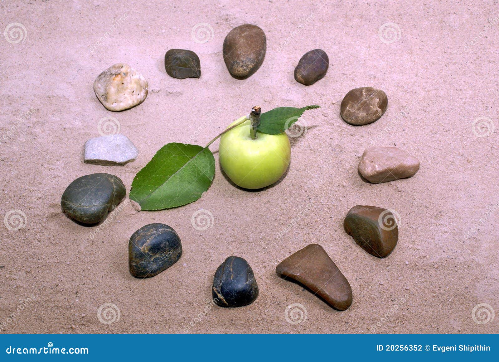 The composition on sand. stock photo. Image of circle - 20256352
