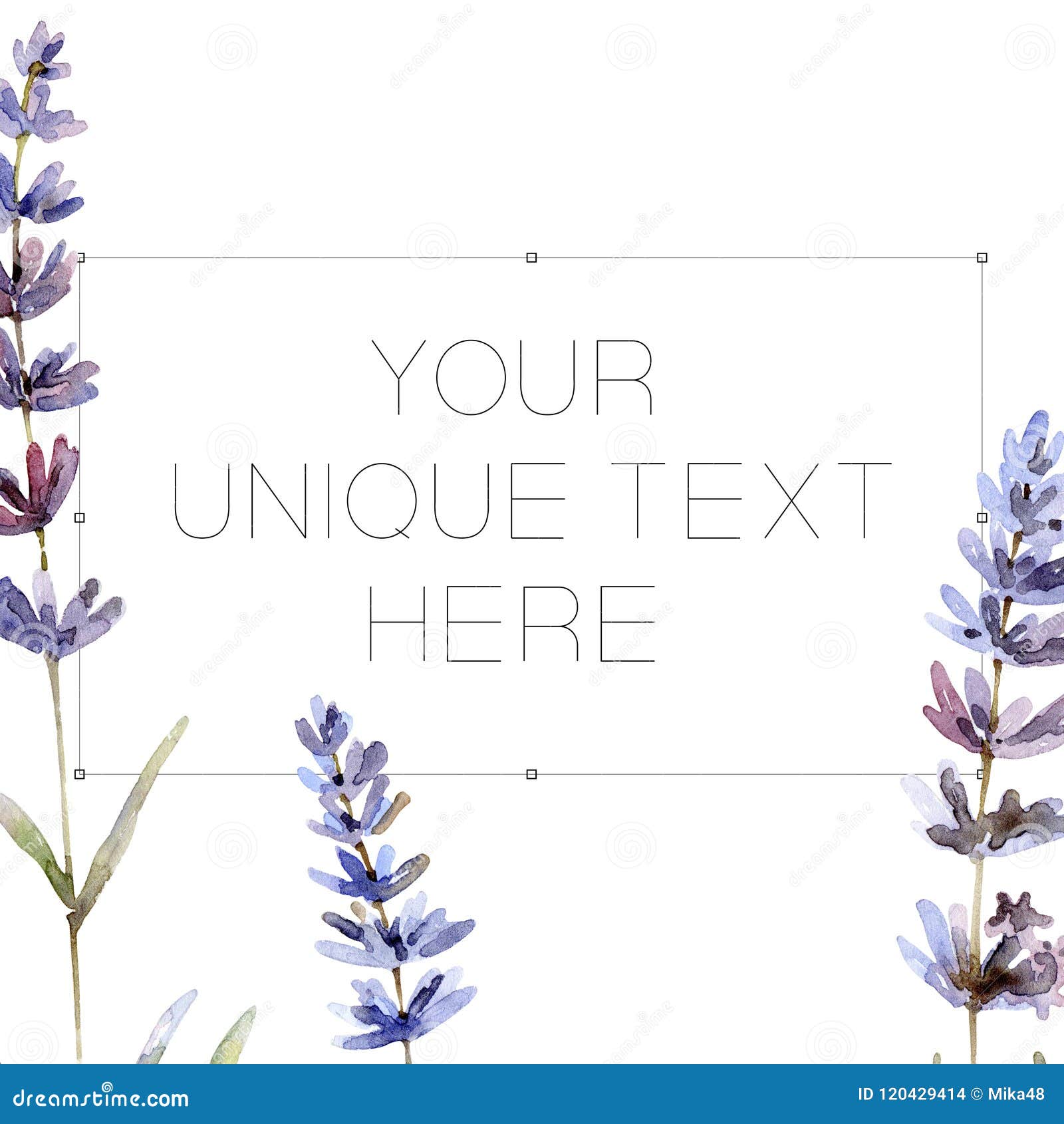 Composition with lavender stock illustration. Illustration of floral ...