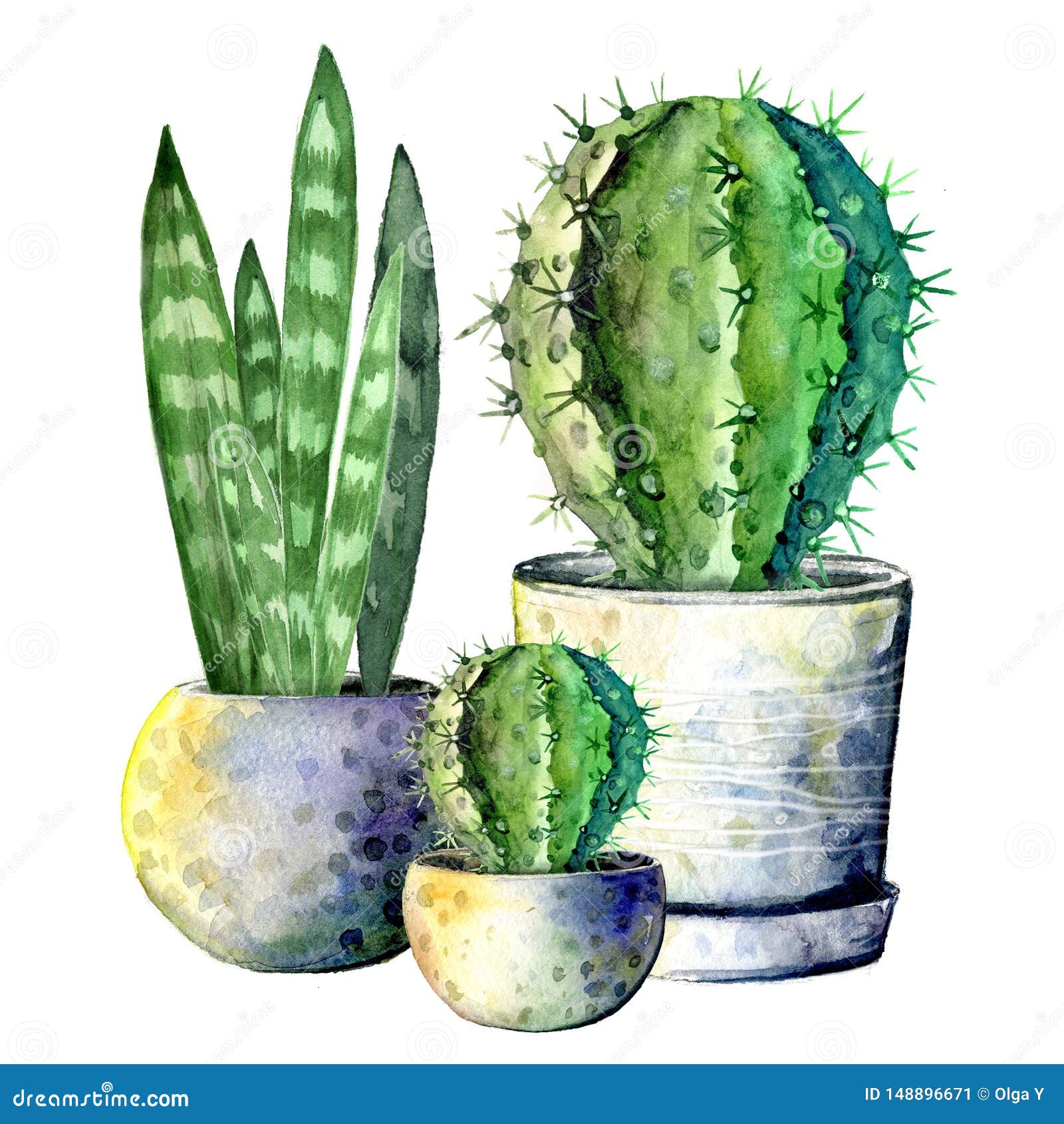 The Composition of the Three Cacti in Pots. Isolate on White Background ...