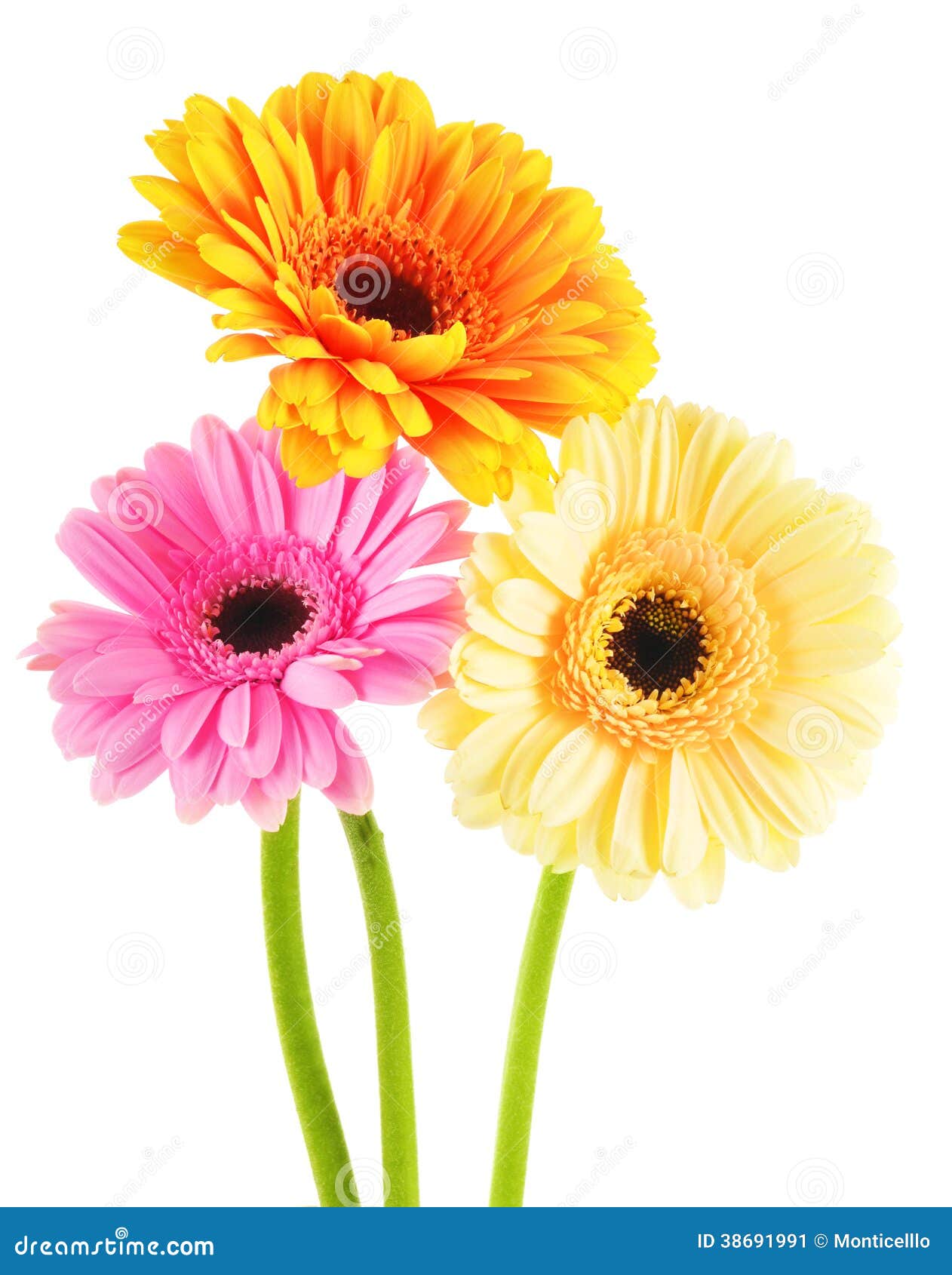 Composition with Three Gerberas Isolated on White Stock Image - Image ...