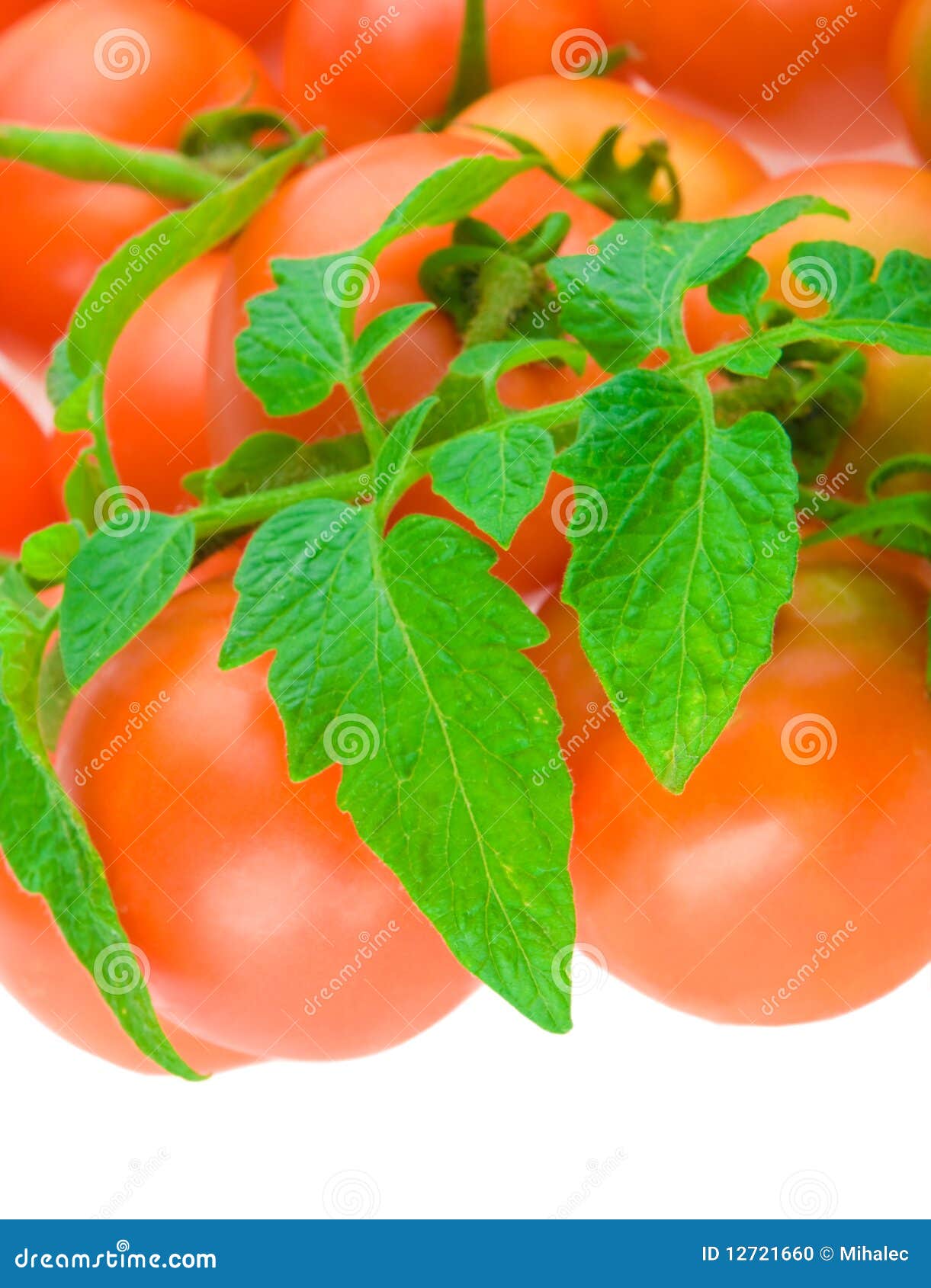 Composition of Tomato with Copyspace Stock Photo - Image of juicy ...