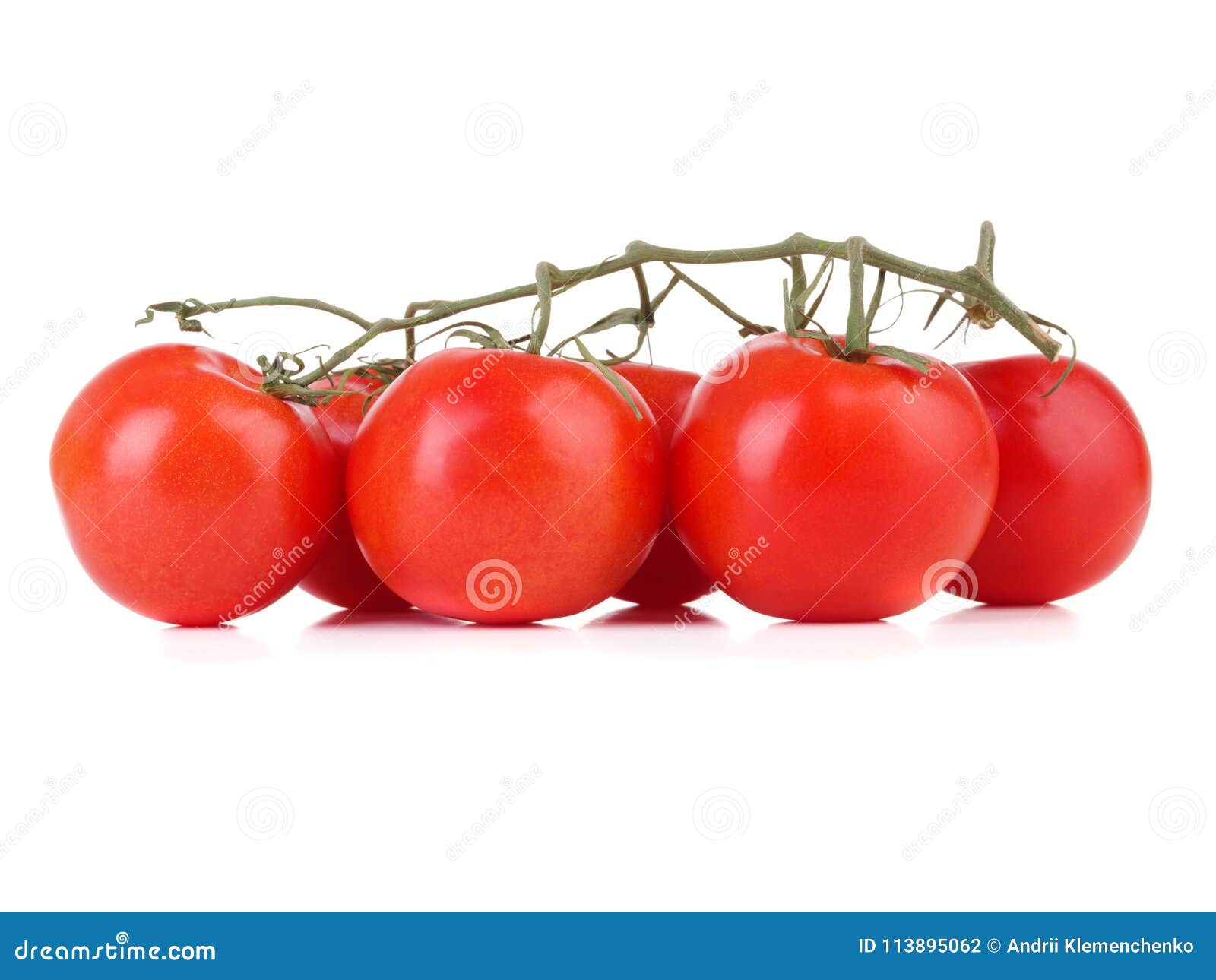 Composition of Tomato. Fresh Tomatos on a White Back Ground Stock Photo ...