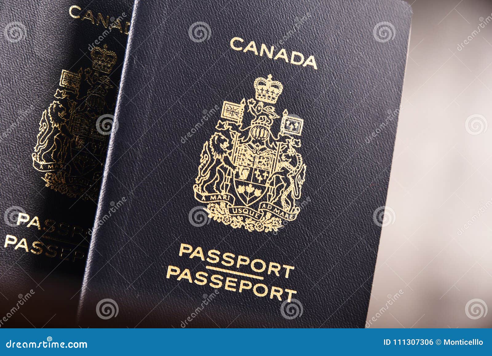 Composition with Two Canadian Passports Stock Photo - Image of legal ...