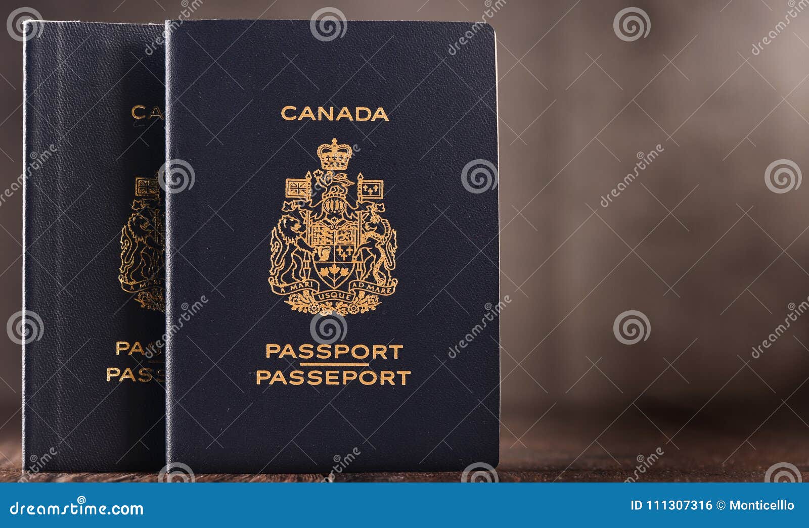 Composition with Two Canadian Passports Stock Photo - Image of passport ...