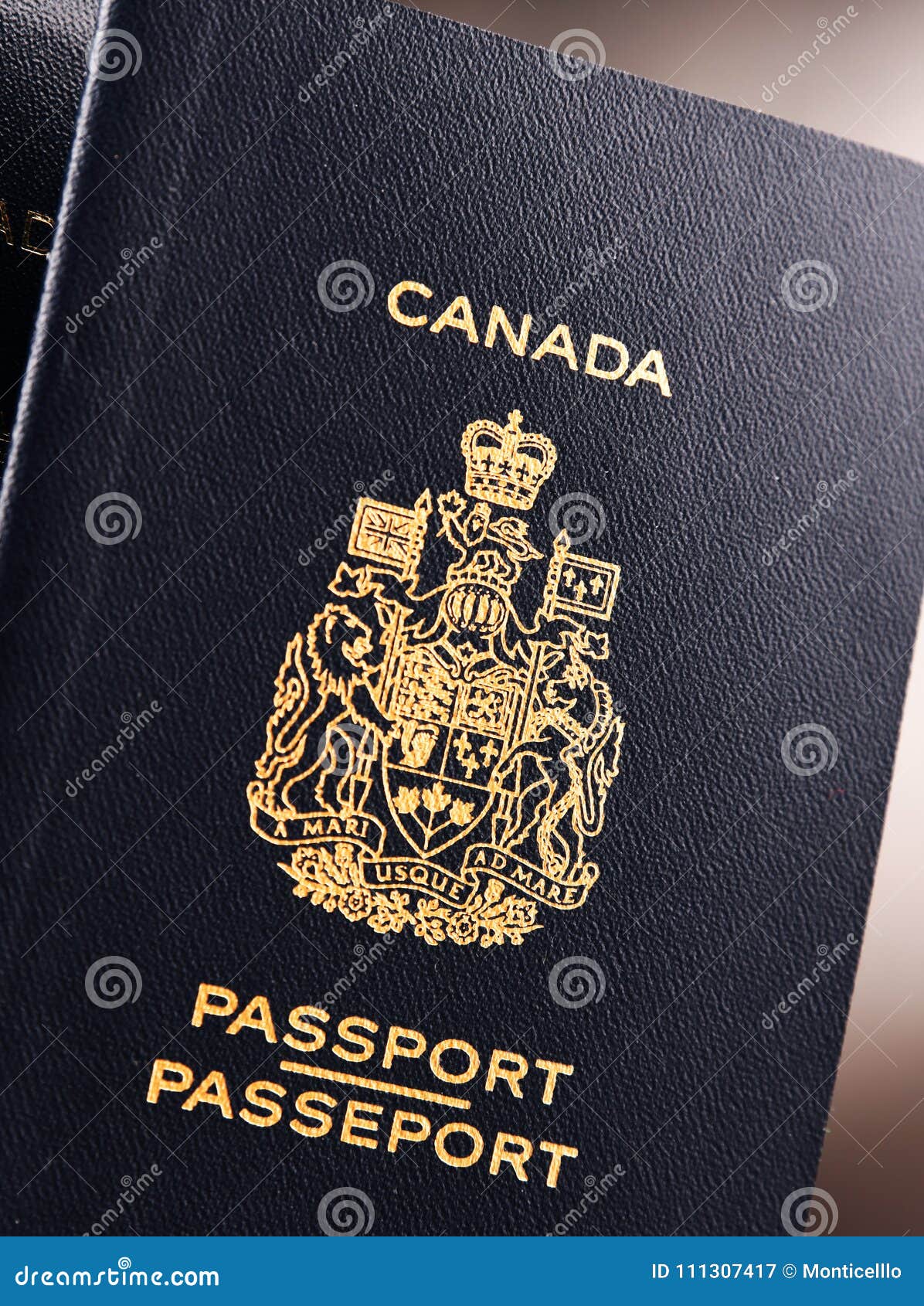 Composition with Two Canadian Passports Stock Image - Image of country ...