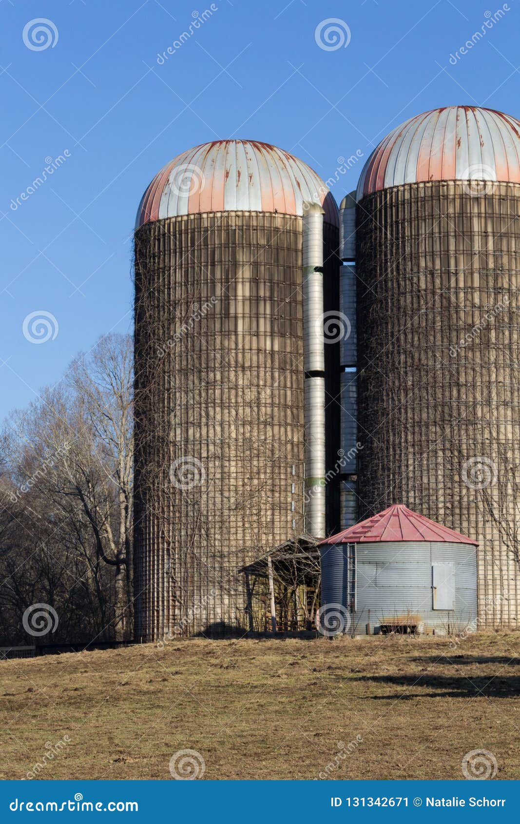 Composition of Two Large and One Small Silo in a Winter Landscape Stock ...