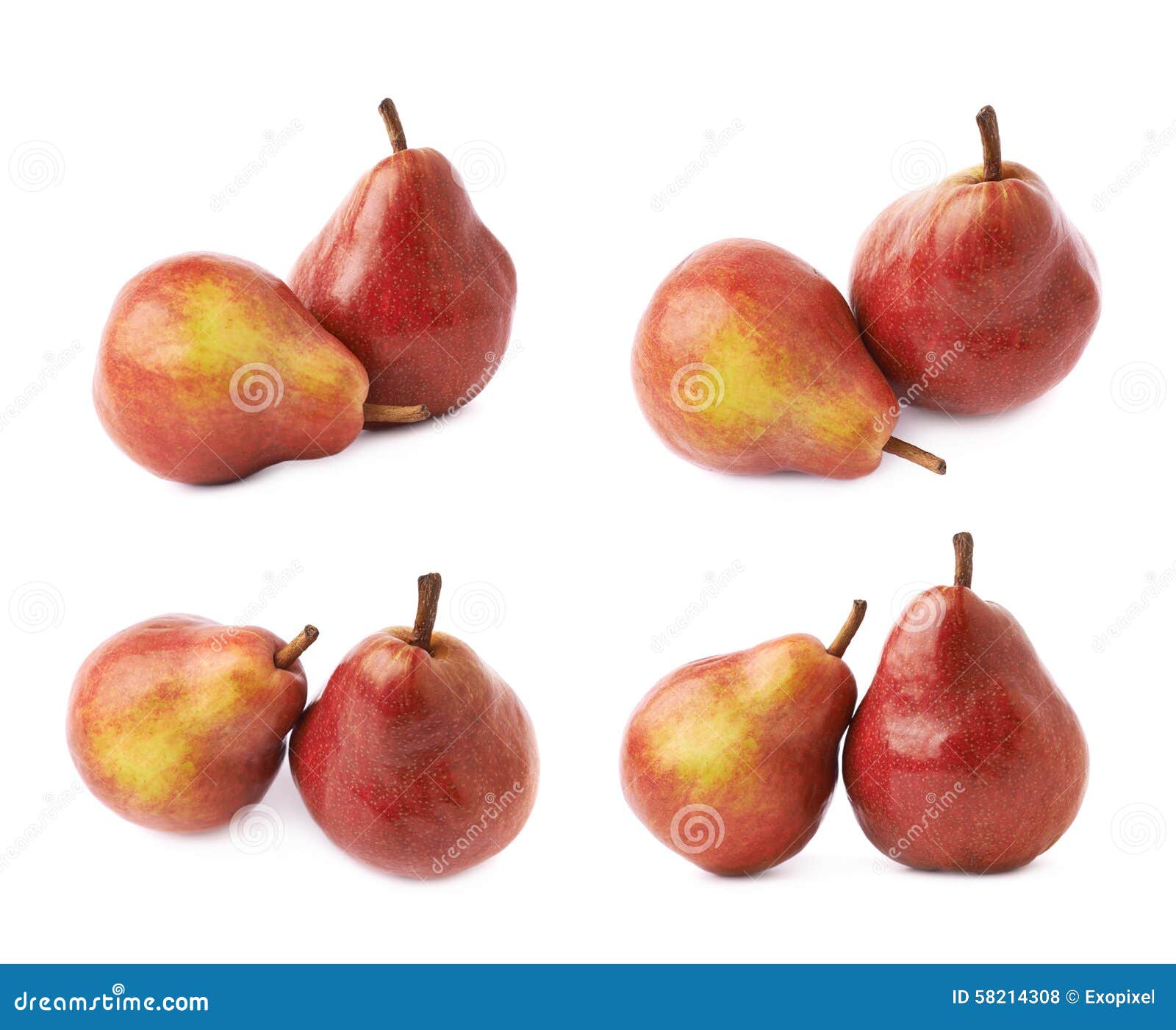 Composition of Two Red Pears Isolated Stock Photo - Image of stem ...