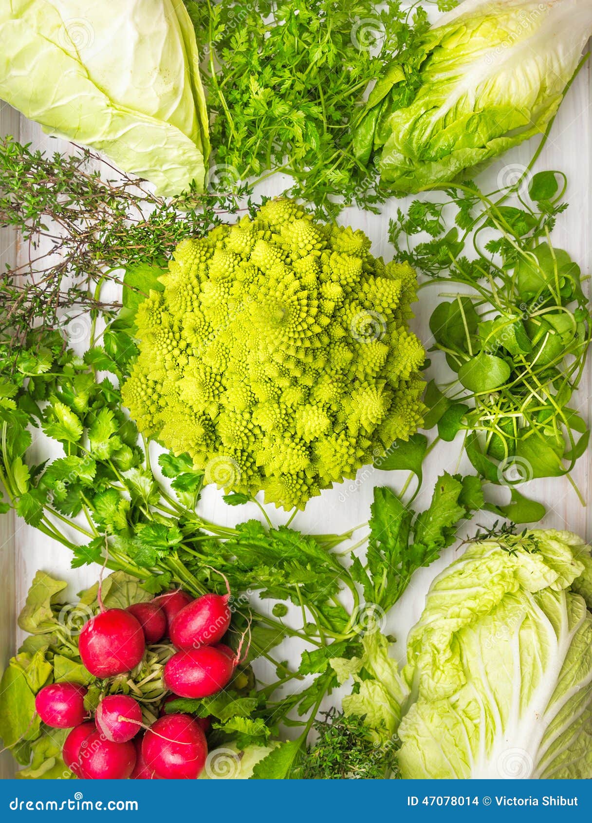 Composition of Varieties of Cabbage, Green Herbs Mix and Radishes Stock ...