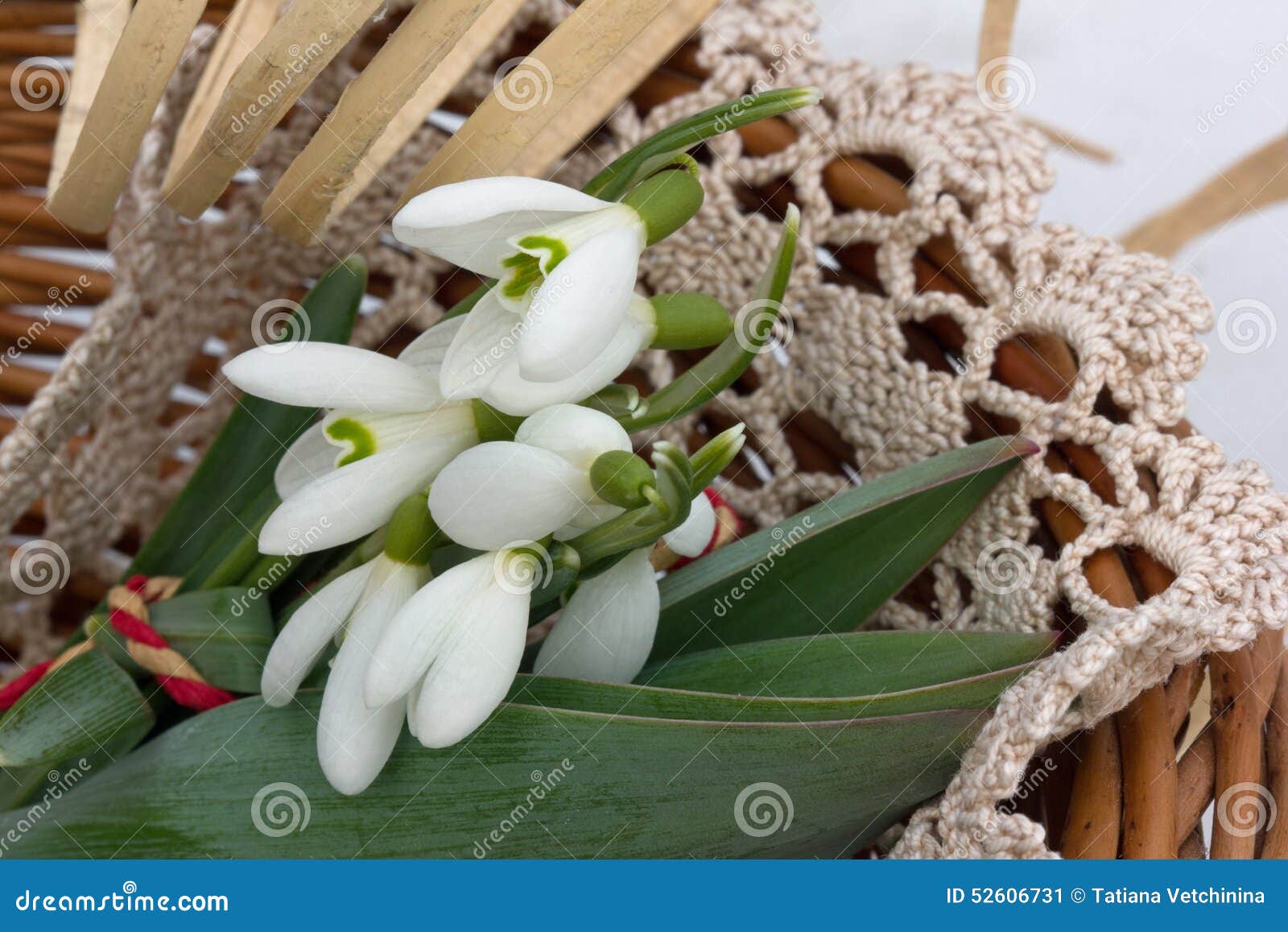 Composition with White Flowers Stock Image - Image of spring, green ...