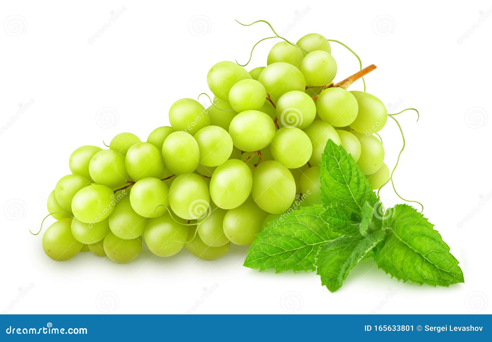 Grape Mint Stock Photos - Download 5,070 Royalty Free Photos