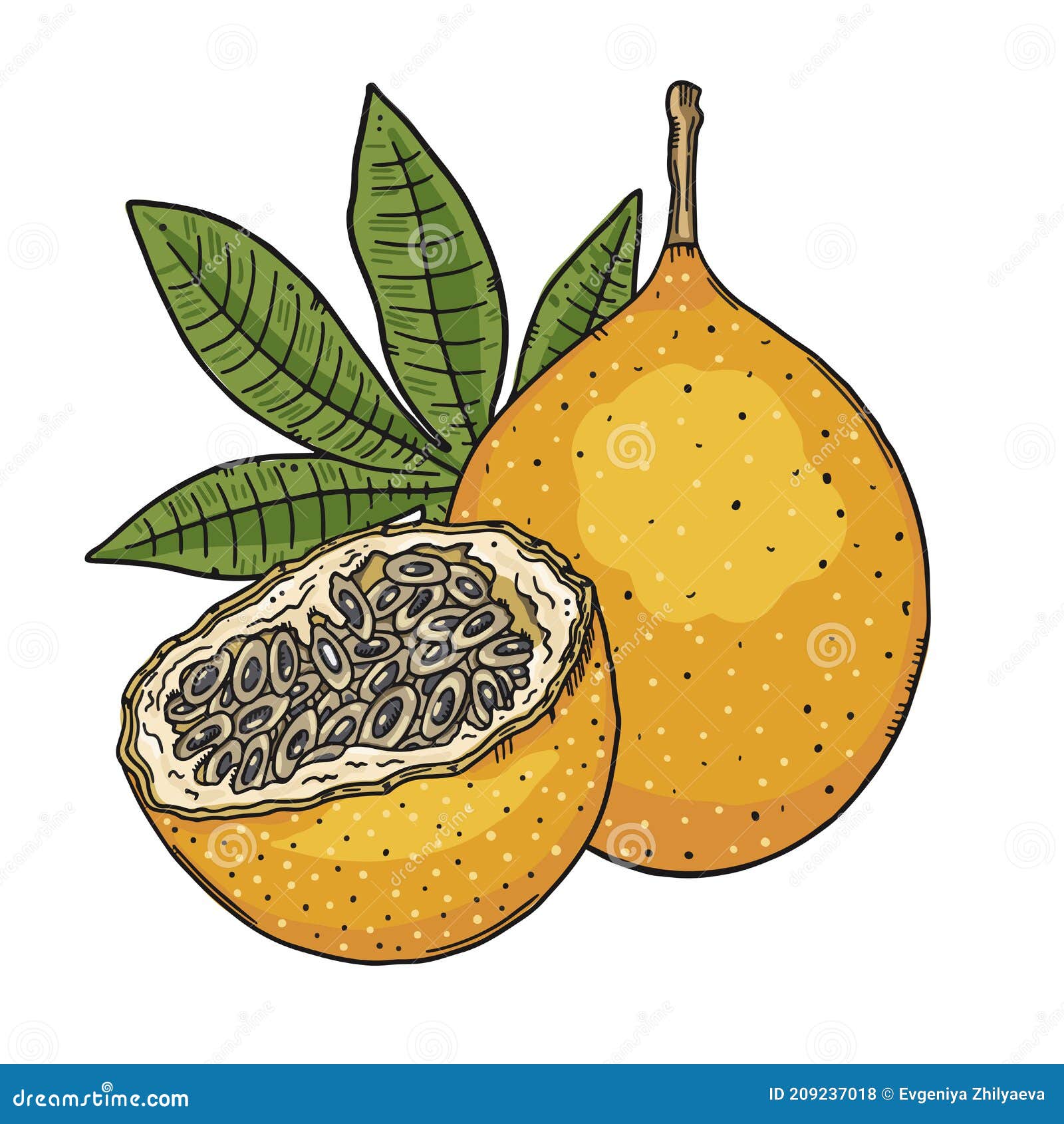 Composition of a Whole Orange Granadilla Fruit and a Half Cut of Fruit ...
